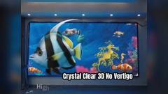Ultimate Polarized 3D Display Screen for Realistic Visuals