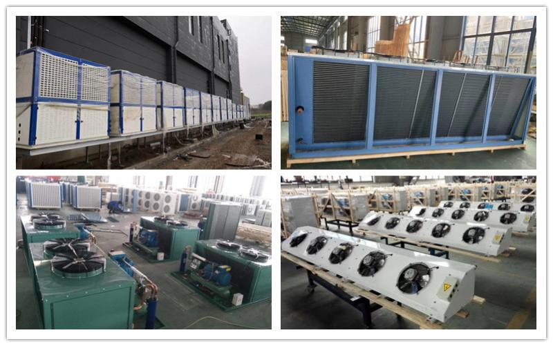 Fornitore cinese verificato - Shenzhen Ruifujie Technology Co., Ltd.