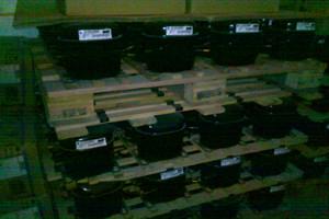 Quality Piston 1HP Tecumseh Reciprocating Compressor CAJ9510T-F1 F VATC for sale