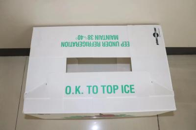中国 絹の印刷は支持できるプラスチック包装箱10kgの負荷を波形を付けた 販売のため