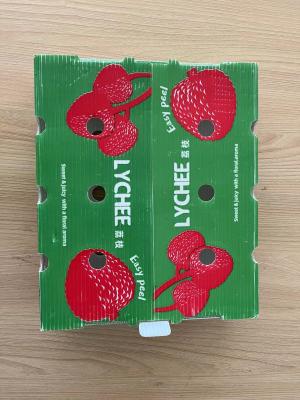 Cina PP Coroplast Lichee Basket Scatola di plastica ondulata Lychee Resistenza all'umidità in vendita