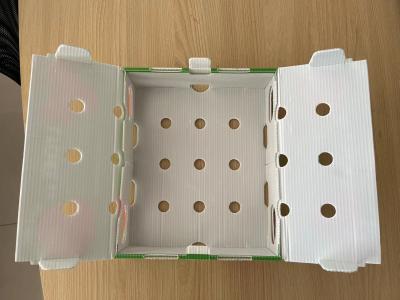 Cina PP Coroplast Lichee Basket Scatola di plastica ondulata Lychee Resistenza all'umidità in vendita