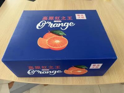 Cina Scatola di immagazzinaggio del mandarino di plastica ondulata stampa a colori/cesto dell'agrume di Coroplast in vendita