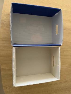 Cina Scatola di immagazzinaggio del mandarino di plastica ondulata stampa a colori/cesto dell'agrume di Coroplast in vendita