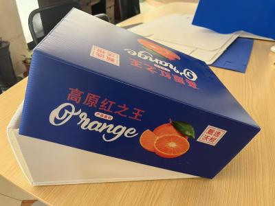 Cina Scatola di immagazzinaggio del mandarino di plastica ondulata stampa a colori/cesto dell'agrume di Coroplast in vendita