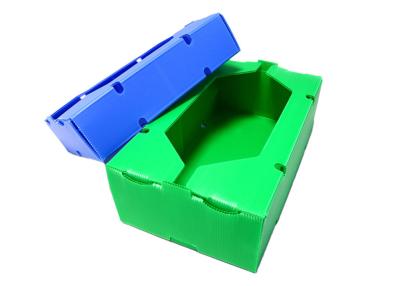 Cina Gli spinaci dei broccoli della patata hanno ondulato i recipienti dello scaffale delle scatole dell'imballaggio di plastica in vendita