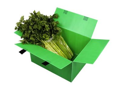 Cina Gli spinaci dei broccoli della patata hanno ondulato i recipienti dello scaffale delle scatole dell'imballaggio di plastica in vendita