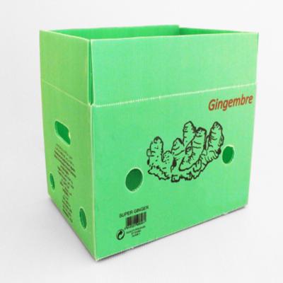 Cina scatole di stoccaggio riciclabili di Coroplast di spessore di 10mm per il logo su misura di verdure in vendita