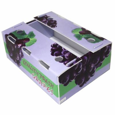 中国 プラスチック フルーツ箱のCoroplast再生利用できる波形を付けられたCorrex PPの包装箱 販売のため