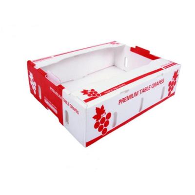 Cina Scatola d'imballaggio ondulata riciclabile di Coroplast del contenitore di plastica di frutta di Correx pp in vendita
