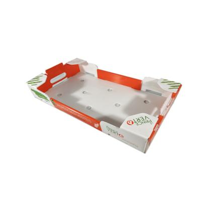 Cina Scatola d'imballaggio ondulata riciclabile di Coroplast del contenitore di plastica di frutta di Correx pp in vendita