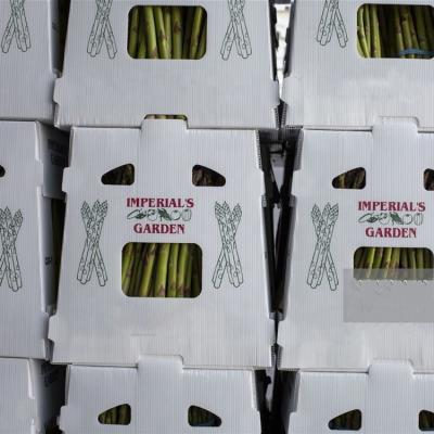 Cina 10kg il carico pp ha ondulato lo stoccaggio dei carciofi dell'asparago delle scatole dell'imballaggio di plastica in vendita