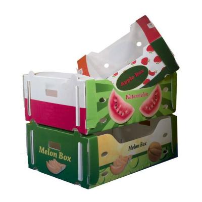 Cina Scatole di stoccaggio riciclabili di Corflute di alto impatto leggero Kiwi Packaging in vendita