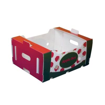 Cina Scatole di stoccaggio riciclabili di Corflute di alto impatto leggero Kiwi Packaging in vendita