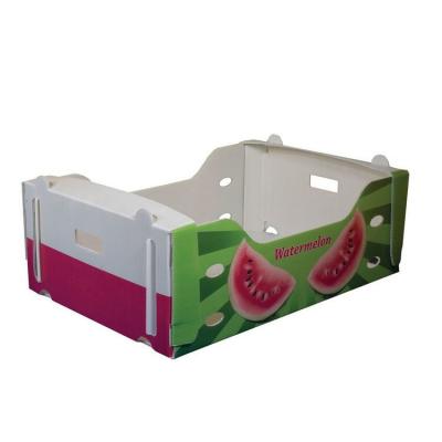 Cina Scatole di stoccaggio riciclabili di Corflute di alto impatto leggero Kiwi Packaging in vendita