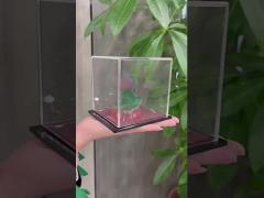 맑은 Perspex 아크릴 디스플레이 박스 테이블 톱 아크릴 케이스
