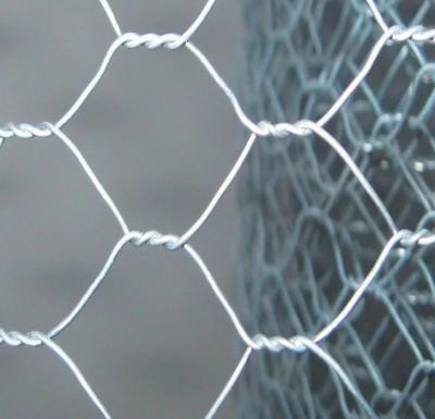 Cina Diametri esagonale della rete metallica di HDG 0.9mm pollo Mesh For Plastering di 100m x di 1.5m in vendita
