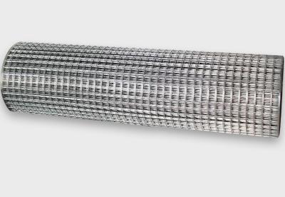 Cina 304 di acciaio inossidabile saldato del nastro metallico della maglia 1/2 di pollice X 1/2 ampia 30m lunghezza di pollice 1m in vendita