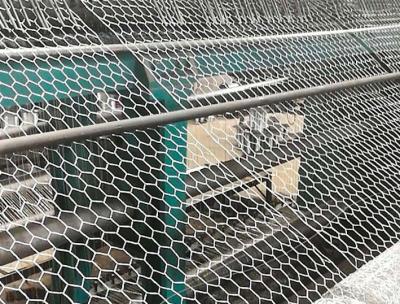 Cina Il PVC ha ricoperto la larghezza esagonale del diametro 1.5m di Mesh Netting 1.0mm del cavo per bestiame in vendita