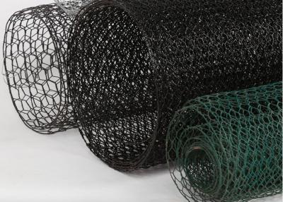 China Malla hexagonal galvanizada de la red de las aves de corral del PVC indicador de 1 pulgada 20 2 pies de X.25 pie en venta