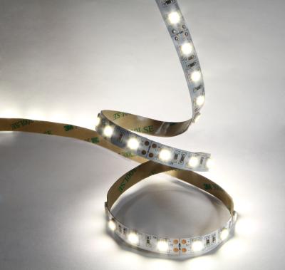 Cina 10mm 3000K 4000K 6000K 5050 LED Strip 12V 24V 60 Led/M LED Strip Light in vendita