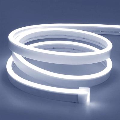 Cina 2835 SMD 12V 6 X 12mm 8 X 16mm PVC Silicone Neon Light E Single All Color LED Neon Flex Rope in vendita