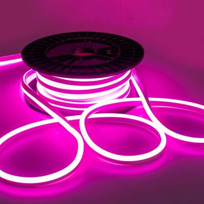 Cina 2835 SMD 12V 6 X 12mm 8 X 16mm PVC Silicone Neon Light E Single All Color LED Neon Flex Rope in vendita