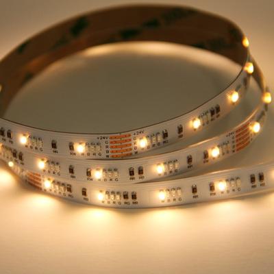 Cina Super luminoso 2216 LED Strip Narrow 240leds/M SMD2110 CRI95 2200K RGB+W CCT 1800K Flessibile in vendita