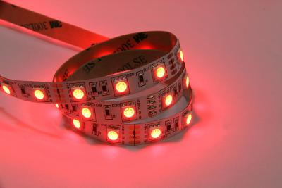 中国 24V 60 LEDS SMD 5050 RGB RGBW RGBWW LEDストライプライト 販売のため