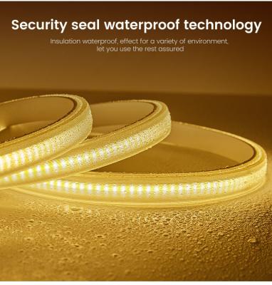 Cina AC 220V 110V 240LED COB luci a strisce a LED 8mm CE ROHS flessibile in vendita