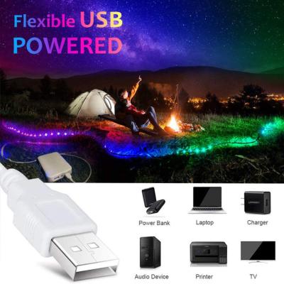 Cina Controllo Wifi Smart 12V 5V USB RGB 5050 Luci a striscia a LED Ignibile Bluetooth Sincronizzazione musicale per decorazioni in vendita