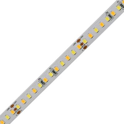 Cina Flessibile LED SMD 2835 LED Strip 120leds/M 10mm LED Strip CCT regolabile 1800K-6500K Bianco caldo Bianco fresco Bianco doppio colore in vendita