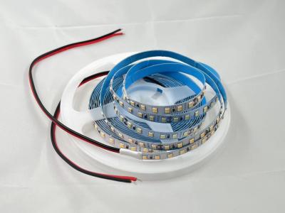 Cina CRI80 90 CCT 2 in 1 Dimmabile 12V 24V SMD2835 120D Flessibile luci a strisce a LED speciali CCT 2500K-6000K regolabile in vendita