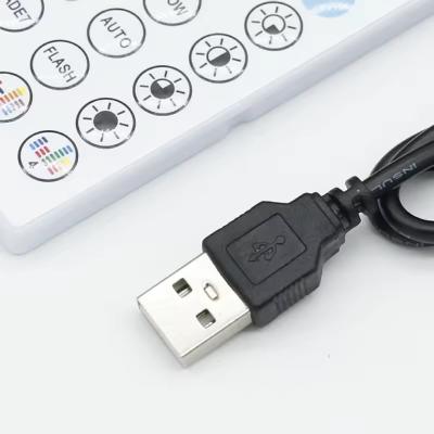 中国 スマート LED 5V 44ekys RGB LED ストライプコントローラー wifi tuya APP USB ブルートゥース ディマー ルチェ・ストリシア LED ストライプコントローラー 販売のため
