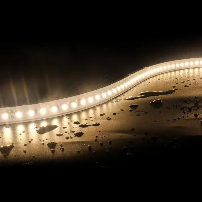 中国 220v ドライバ不要 10cm 切断可能 2835 LED ストライプ IP65 120 LED テープライト 防水性 IP20 柔軟な LED ストライプ 販売のため