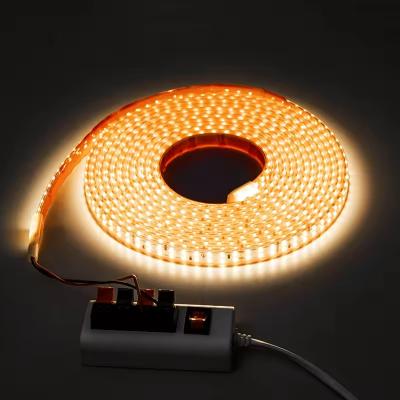 Cina Senza conducente Alta tensione 220V Senza conducente Striscia luminosa autoadesiva 240leds smd 2835 IP67 IP65 Luce di linea decorativa in vendita