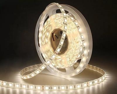 中国 12w 12v 24v 10mm 60Leds Rgb 5050 Smd 柔軟なLEDストライプライト 販売のため