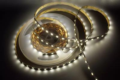 中国 12w 12v 24v 10mm 60Leds Rgb 5050 Smd 柔軟なLEDストライプライト 販売のため