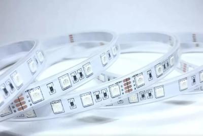 中国 12w 12v 24v 10mm 60Leds Rgb 5050 Smd 柔軟なLEDストライプライト 販売のため