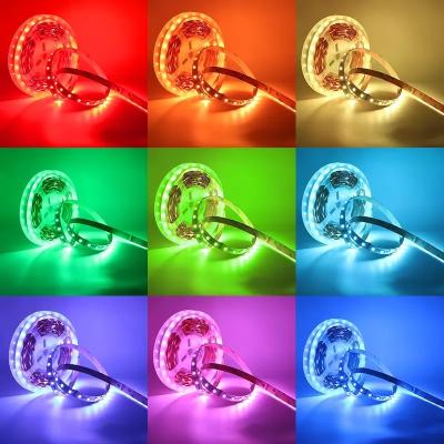 中国 12w 12v 24v 10mm 60Leds Rgb 5050 Smd 柔軟なLEDストライプライト 販売のため