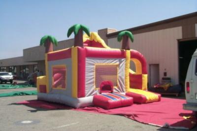 China Inflatable Bouncer / INFLATABLE jump / inflatable palm tree bouncer for sale