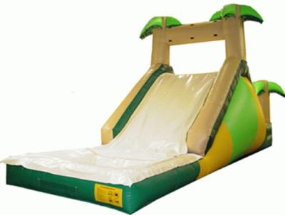 China Inflatble Slide / inflatable pool slide / inflatable palm slide for sale