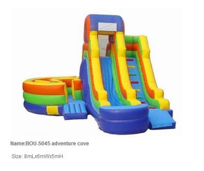 China Inflatble Slide / inflatable pool slide / inflatable funny slide with pool for sale