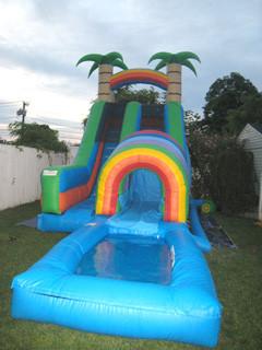 China Inflatable Water Slide / inflatable giant palm tree slide for sale