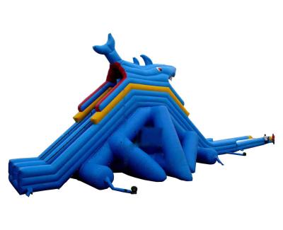 China Inflatable Water Slide, hippo slide , giant slide for sale