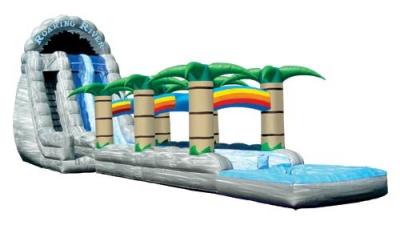 China Inflatable Water Slide, hippo slide , inflatable giant palm slide for sale