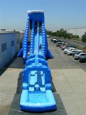 China Inflatable Water Slide, hippo slide , inflatable giant palm slide for sale