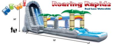 China Inflatable Water Slide, hippo slide , inflatable outdoor supper slide for sale