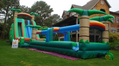 China Inflatable Water Slide, inflatable hippo giant slide for sale