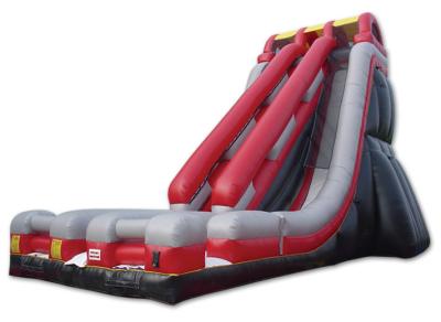China Inflatable hippo slide outdoor slide , inflatable hot slide for sale